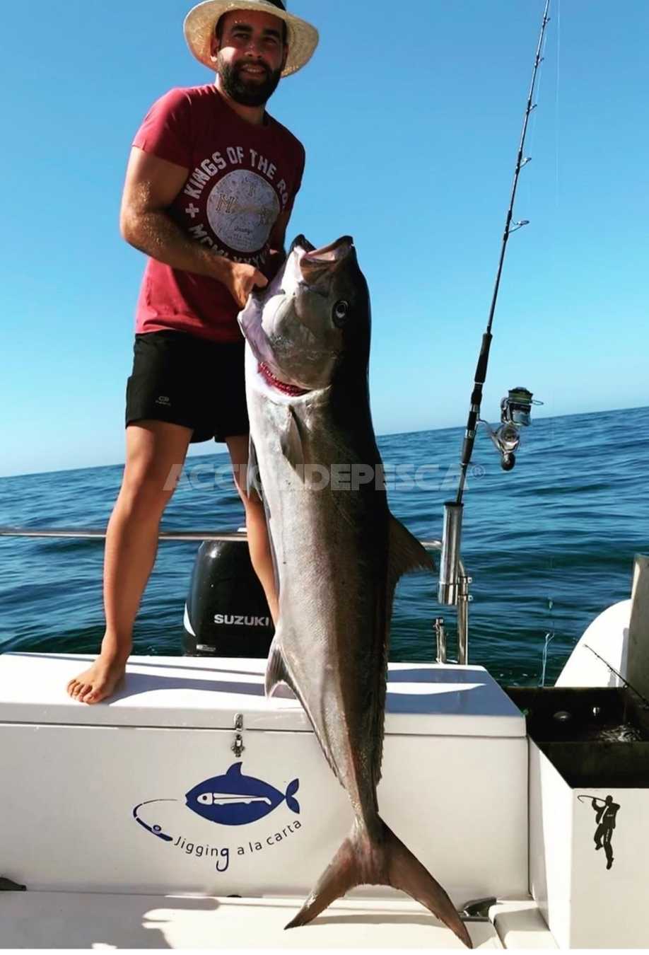 Acciondepesca.com | Pesca de Serviola