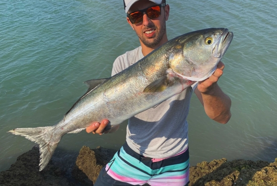 Acciondepesca.com | Pesca de Anjova