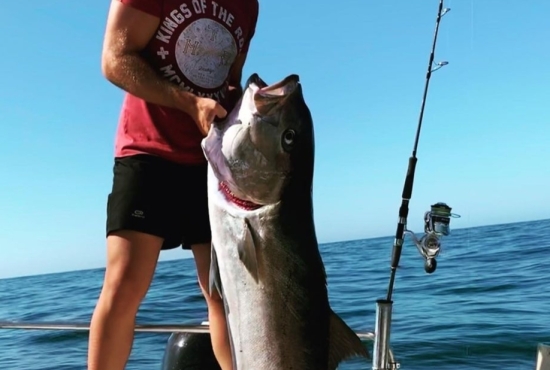 Acciondepesca.com | Pesca de Serviola